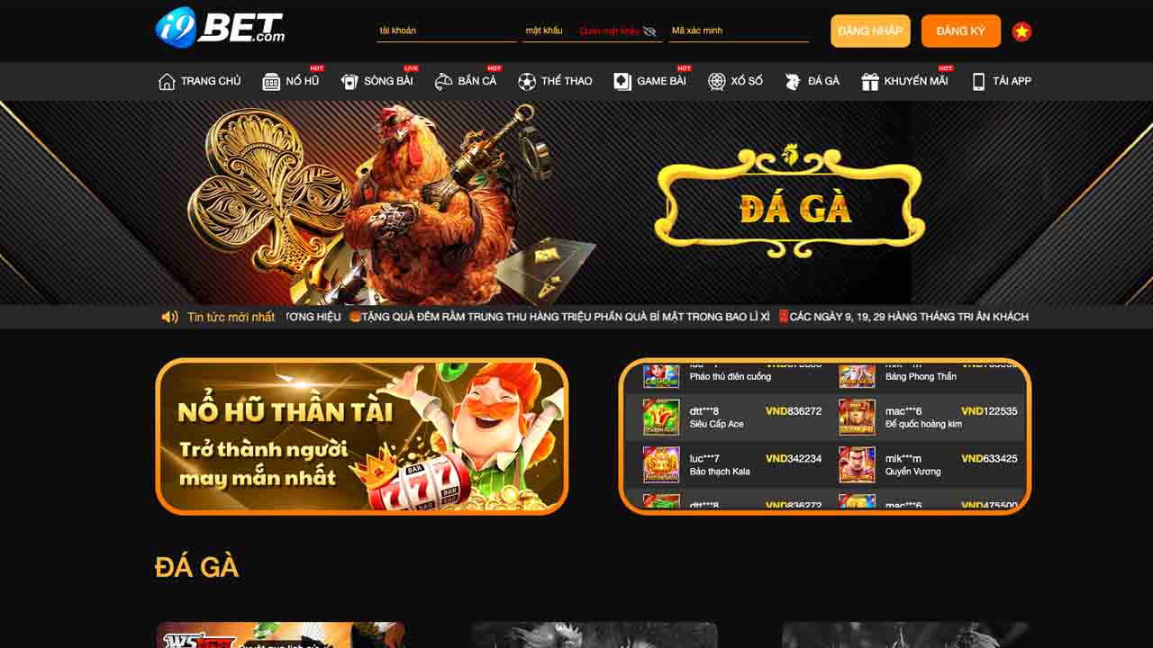 i9bet | Trang Chủ Chính Thức Của Nhà Cái I9bet Com